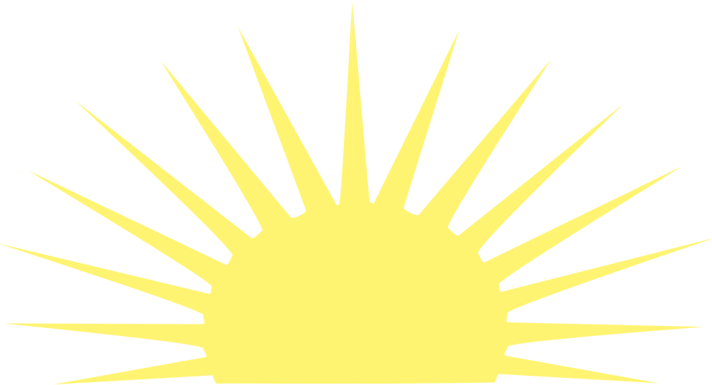 Proprio Foot - Stafford Labs